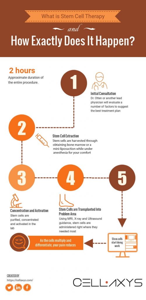 Stem Cell Therapy, Explained: Everything You Need To Know