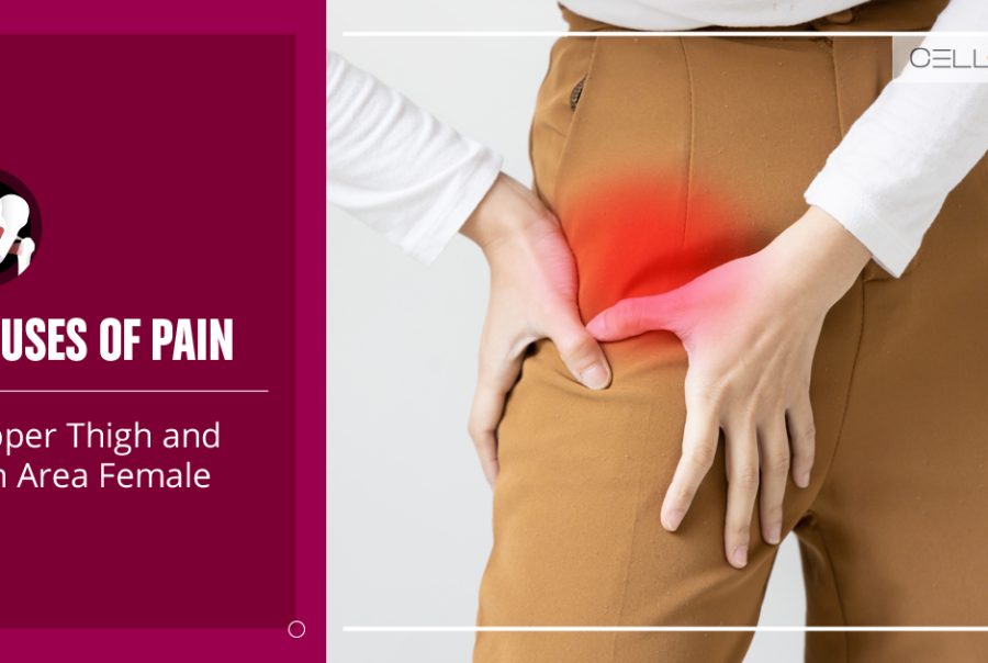 Hip Pain Radiating Down The Leg To Knee - Cellaxys