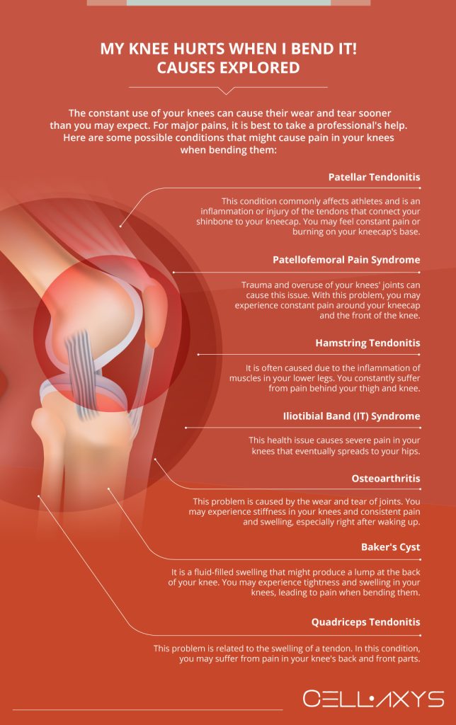 Why Does Your Knee Hurt When You Bend It - Causes And Remedies - Cellaxys