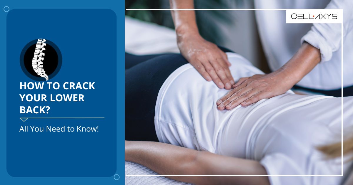 How To Crack Your Lower Back? All You Need To Know! - Cellaxys