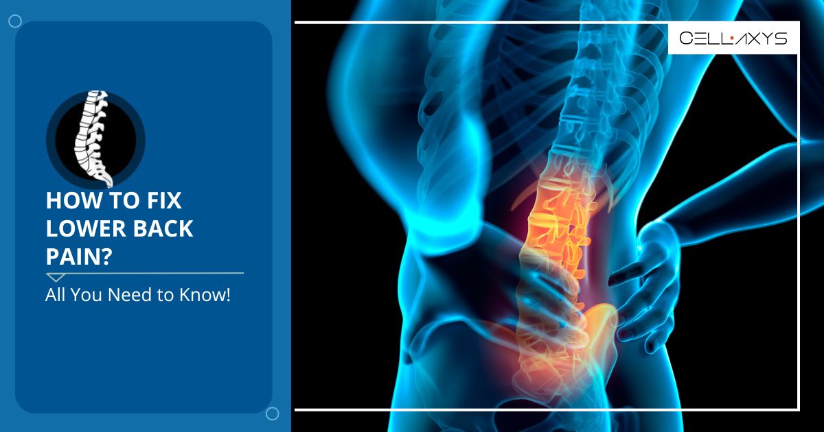 How To Fix Lower Back Pain? All You Need To Know! - Cellaxys