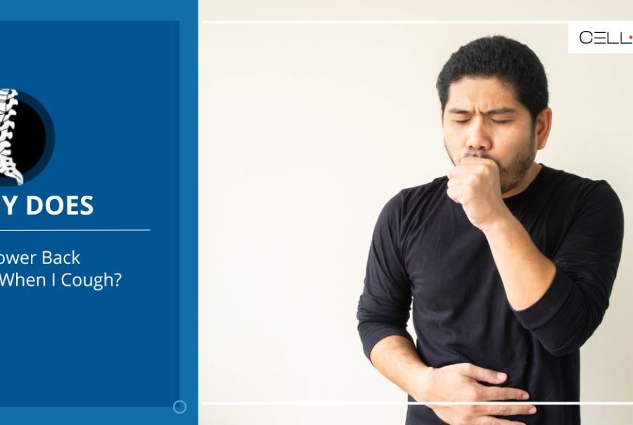 Causes Of Popping Noise In The Lower Back - Cellaxys